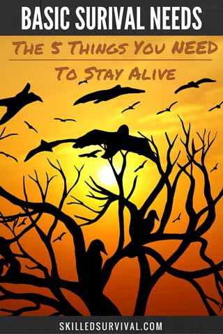 Basic Survival Needs: The 5 Most Important Things To Live